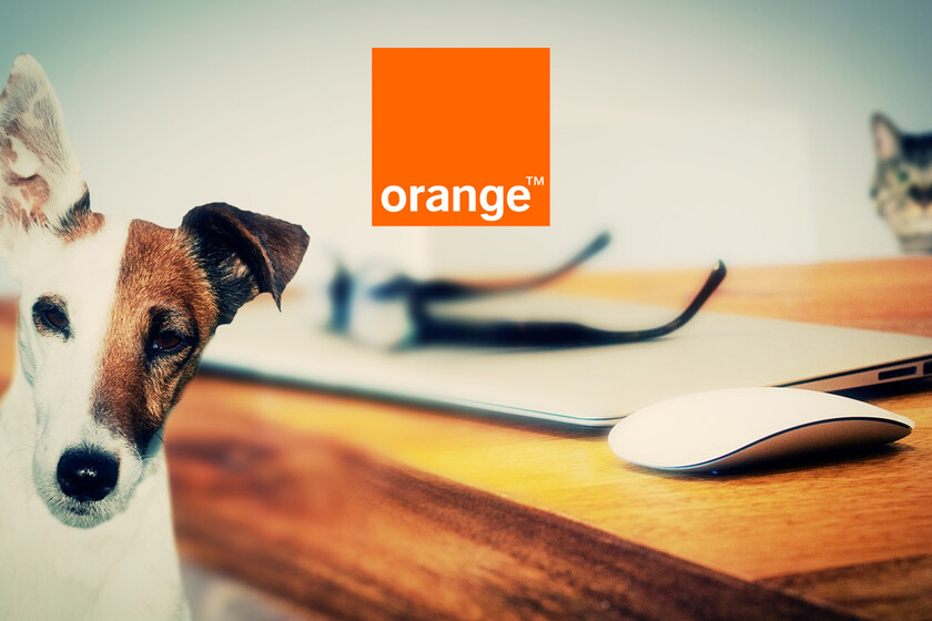 Ni fibra, ni móvil. Lo último de Orange es un servicio de ...