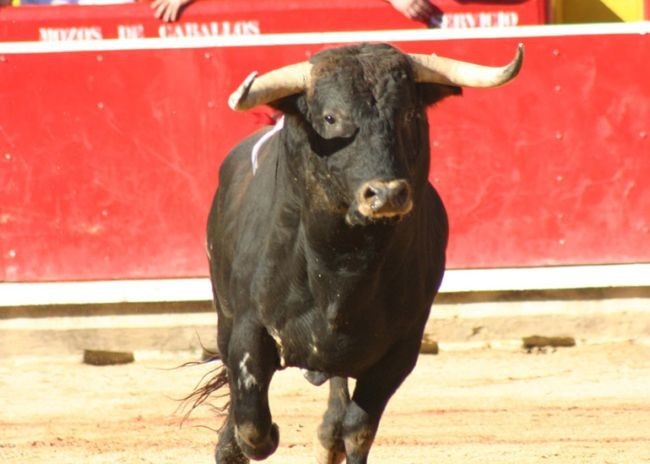 Los 8 peores empleos de la historia: masturbador de toros, soldador ...