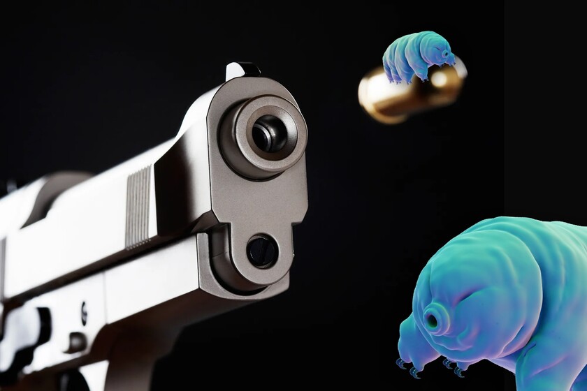 Estos científicos han estado disparando "balas de tardígrados", por ...