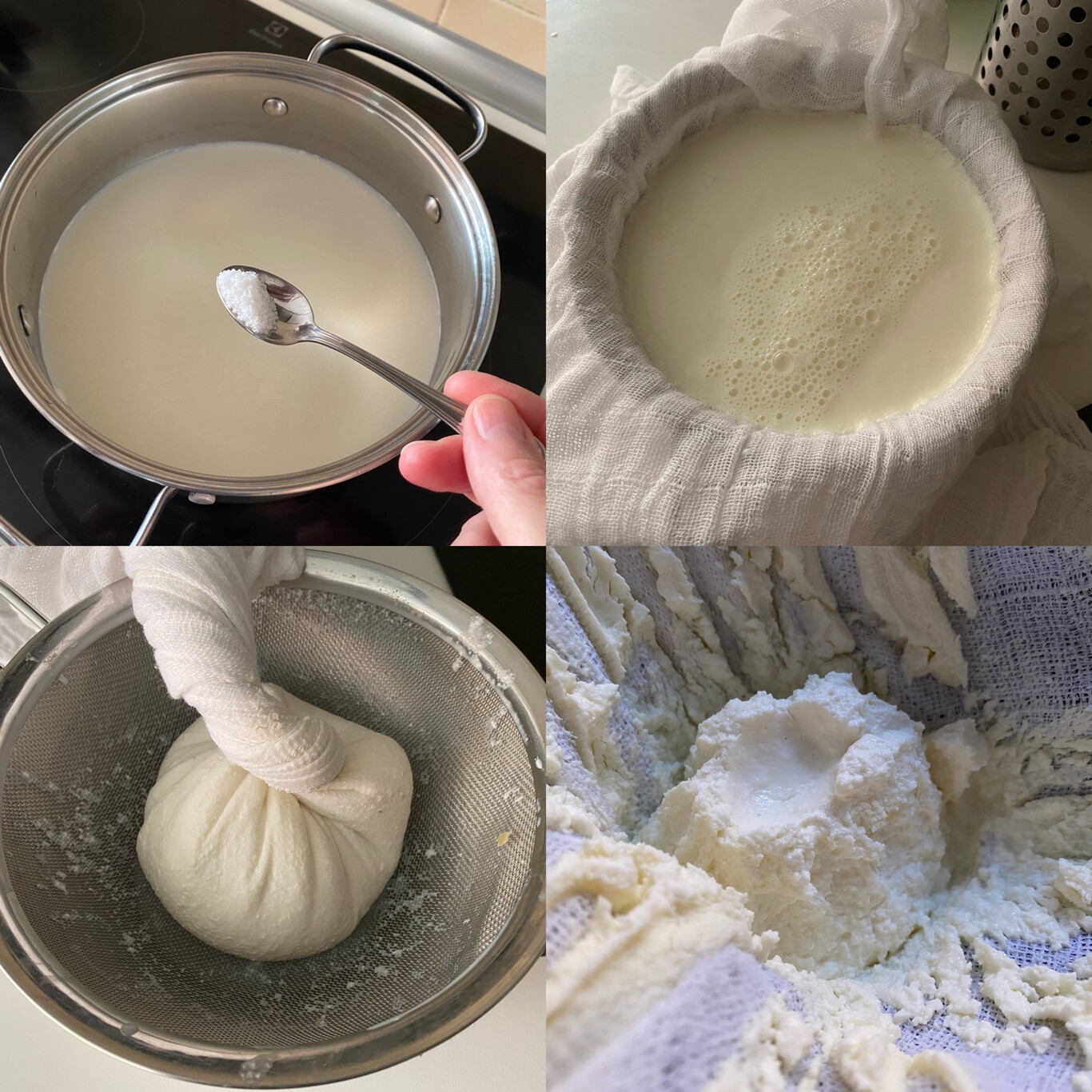 Mel i mató, receta de postre tradicional de Cataluña fácil, sencillo y ...
