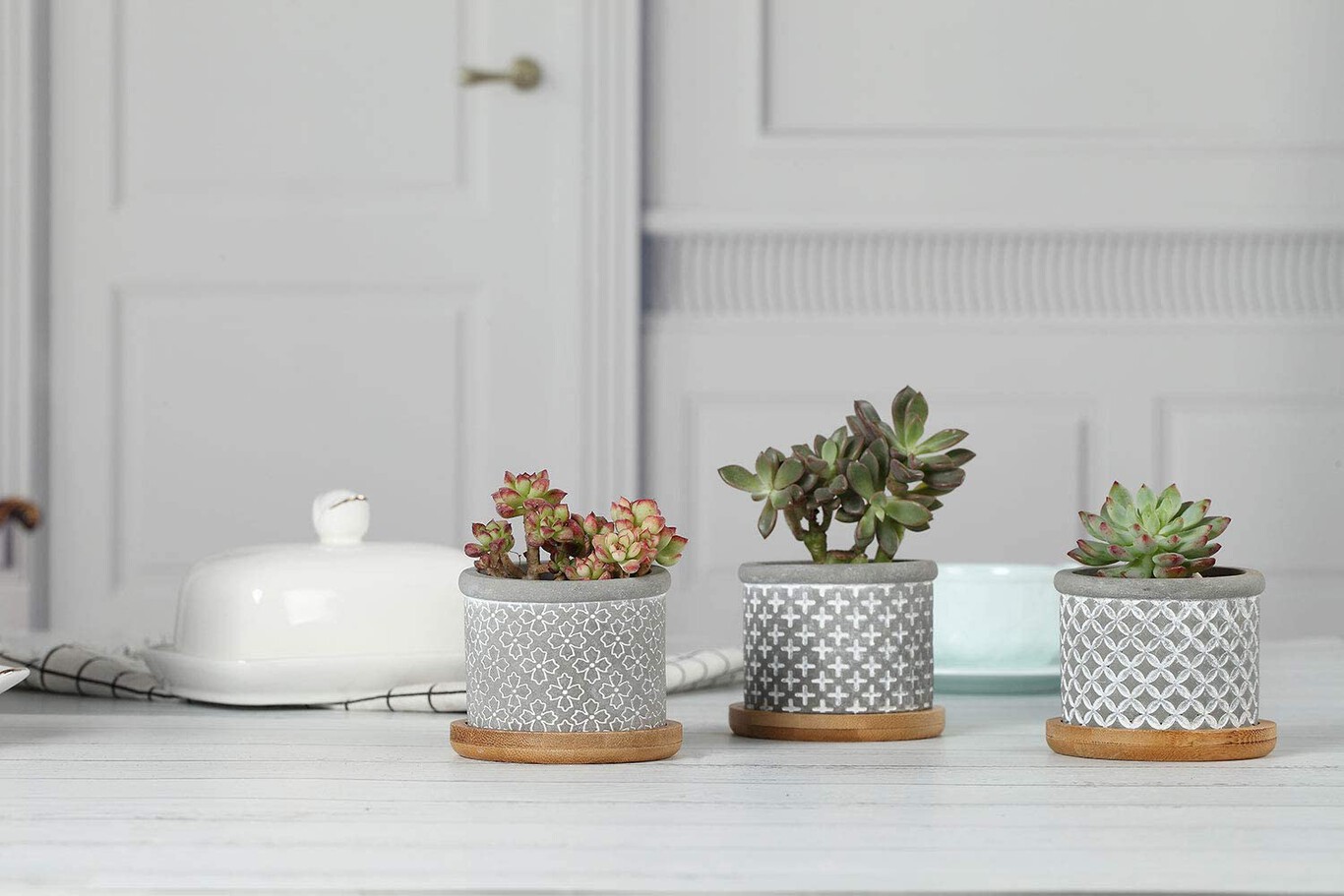 13 macetas decoradas, de interior y exterior, para que nuestras plantas ...