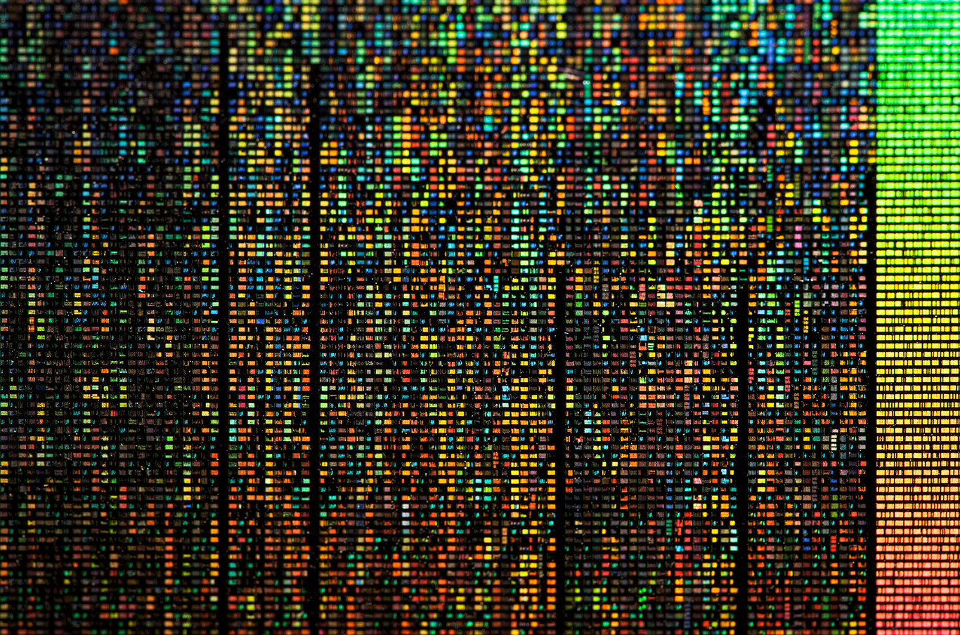 The Rosetta Project, el proyecto que busca preservar 1.500 idiomas ...