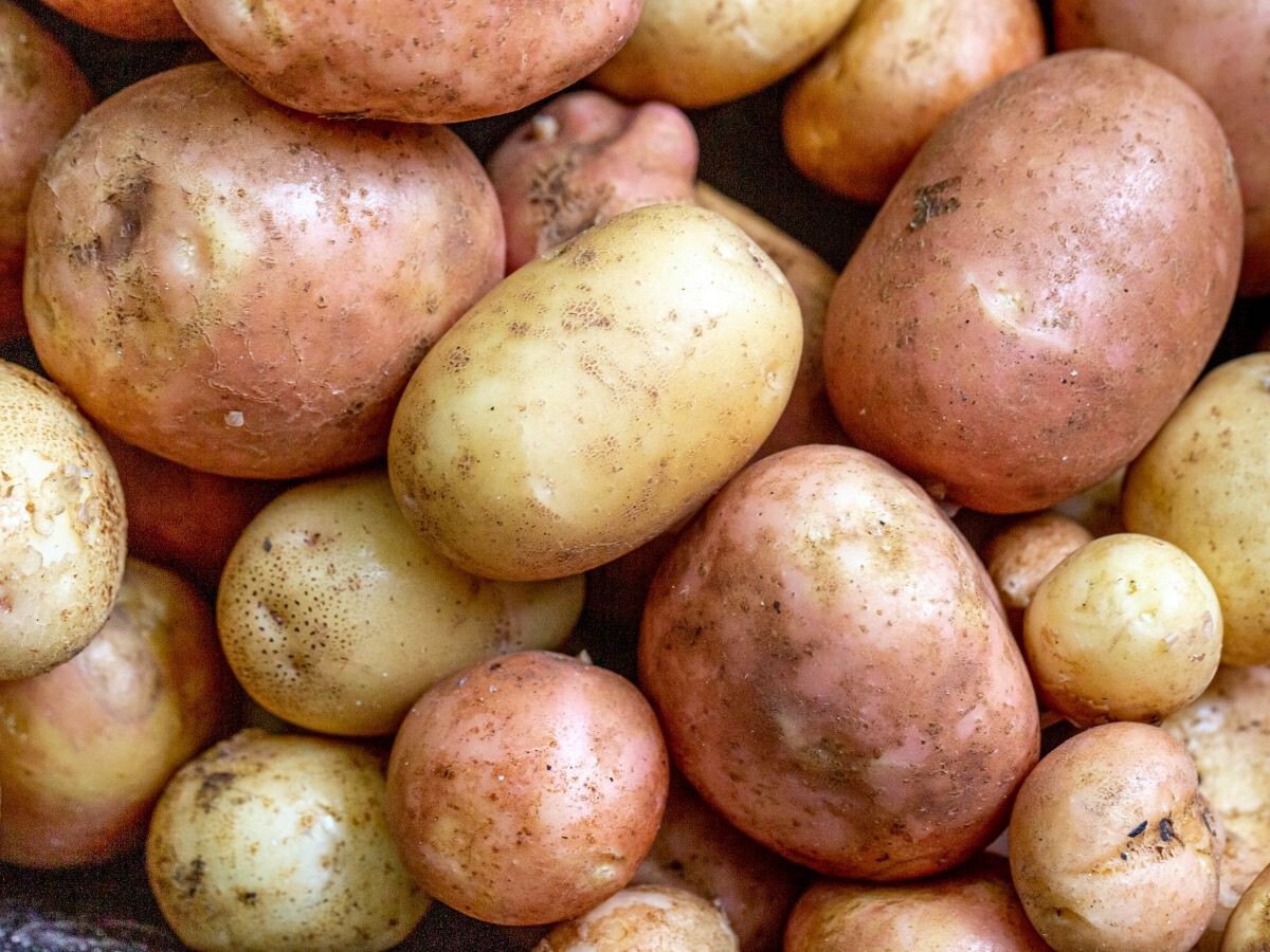 Los errores comunes que arruinarán tu ensalada de patata. Con estos ...