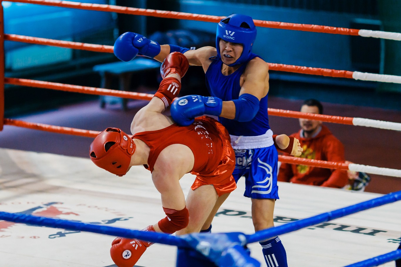 Entrenamiento de boxeo y kickboxing: guía de compras de los mejores ...