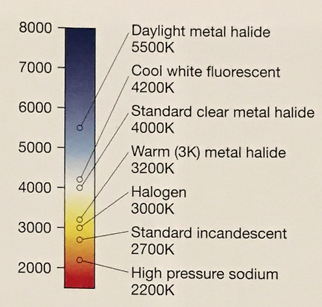 Luz blanca fría o cálida: qué temperatura de color es más conveniente ...