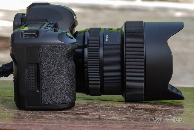 El parasol del objetivo: cuándo usarlo, cómo y para qué