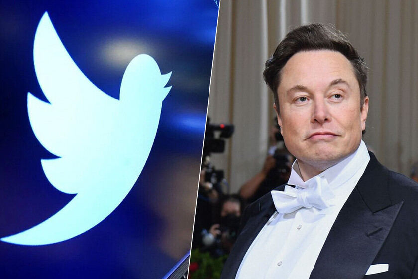 Elon Musk sigue perfilando el Twitter que viene: intercambio de textos ...