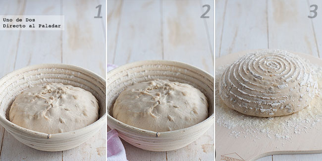 Pan de pipas y masa madre, receta de cocina fácil, sencilla y deliciosa