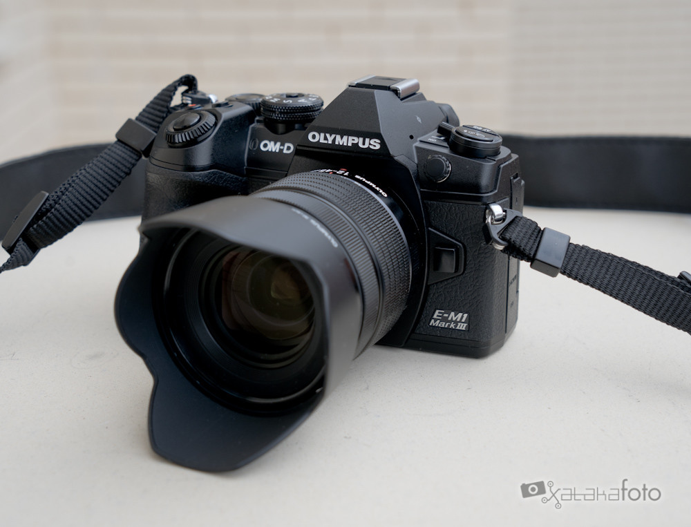 Olympus OM-D E-M1 Mark análisis: review con características y precio