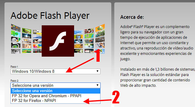 Cómo actualizar Adobe Flash Player
