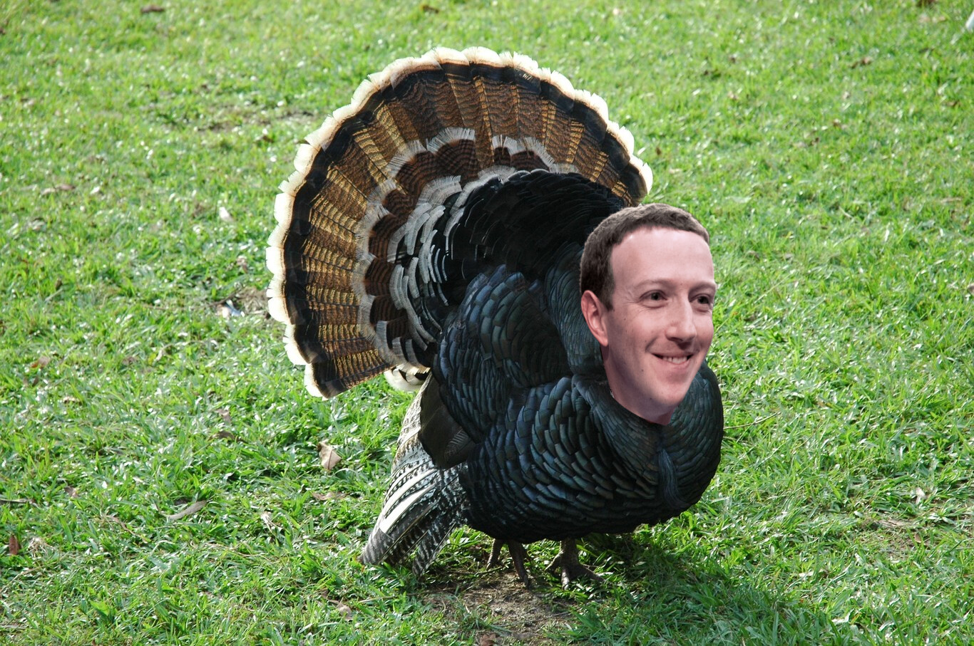 Meta está desarrollando una moneda virtual que llaman "Zuck Bucks" y no ...