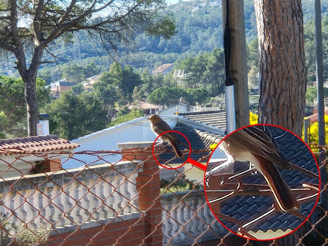 Samsung Galaxy S24, análisis - Review con características, precio y ...