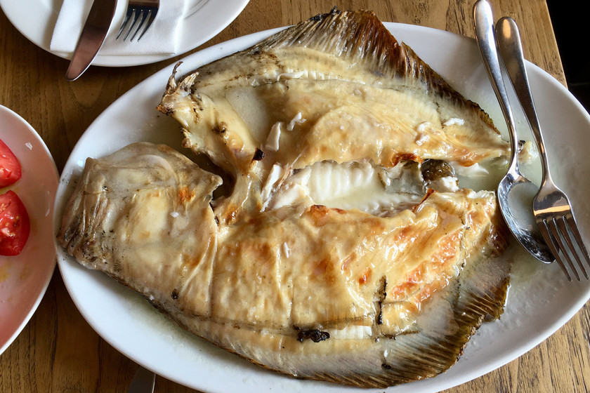 Rodaballo: propiedades, beneficios y su uso en la cocina