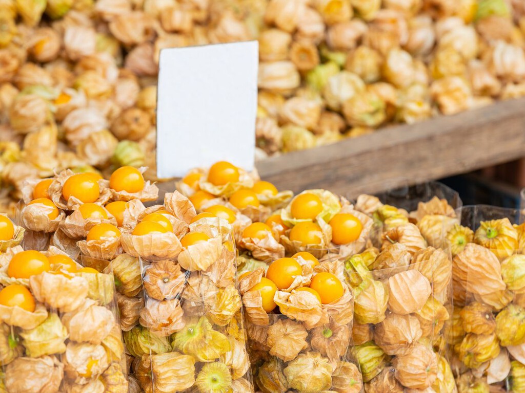 Qué es el physalis o alquequenje, la rica y saludable fruta tropical con forma de farolillo ...