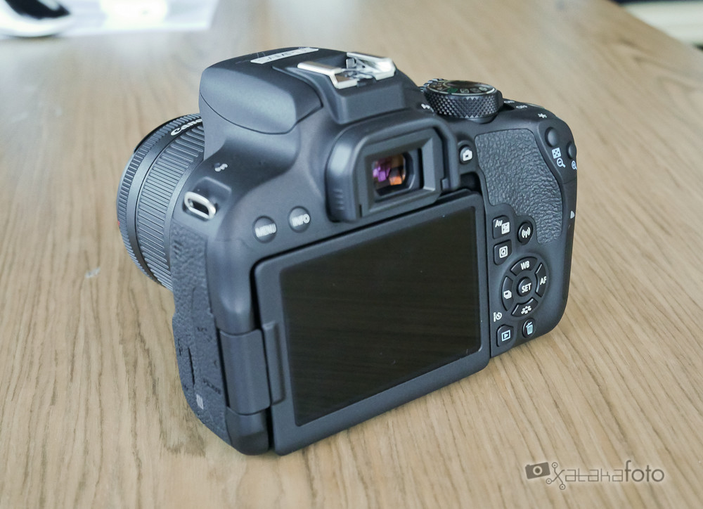 Canon EOS 800D, información y toma de contacto