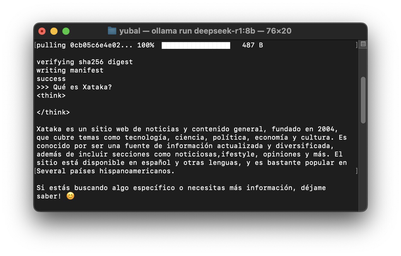 Instalar DeepSeek en tu ordenador: cómo usarlo de forma local en ...