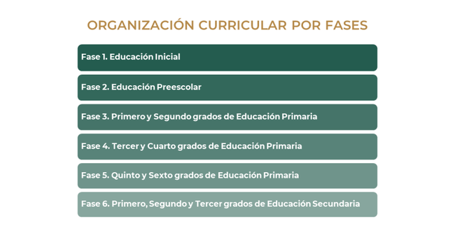 SEP planea eliminar los grados escolares en las escuelas de México: serán cambiados por seis ...