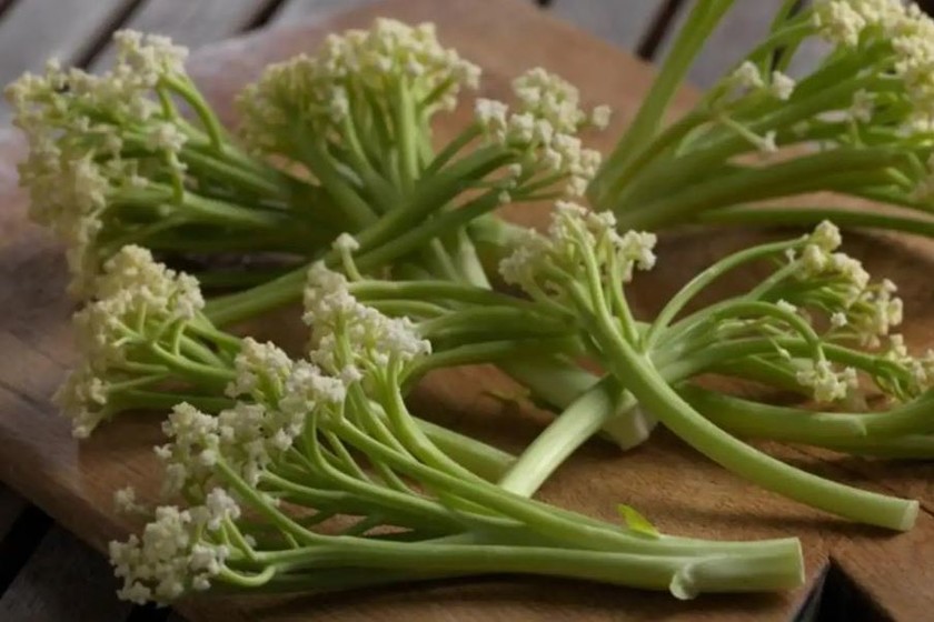 Caulilini, caulini o coliflor baby la nueva variedad que conquista a ...