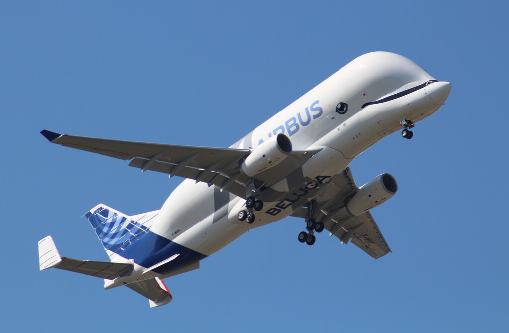 Beluga XL, el gigantesco avión con forma de ballena diseñado para ...