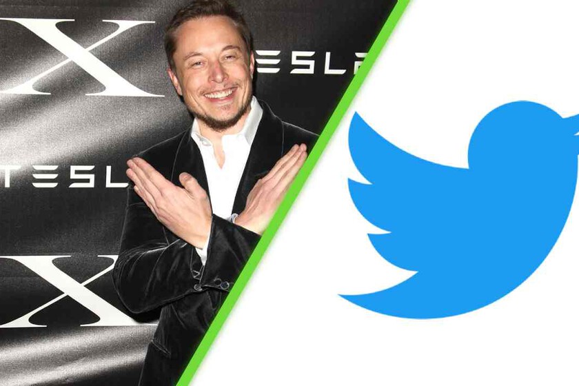 Twitter se queda sin su pajarito: Elon Musk confirma que la red social ...
