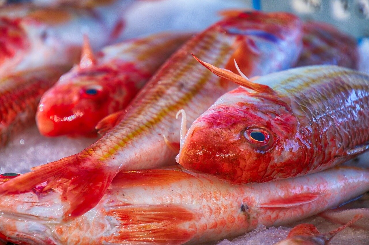 Salmonete, el pescado azul del verano: propiedades, características y ...