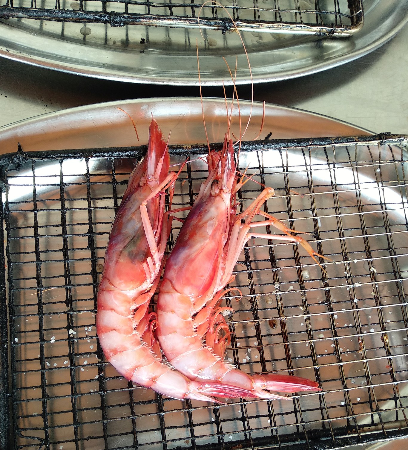 Cómo identificar la verdadera gamba roja y en qué restaruantes comer ...