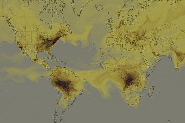 El impacto medioambiental de los incendios del Amazonas, explicado en ...
