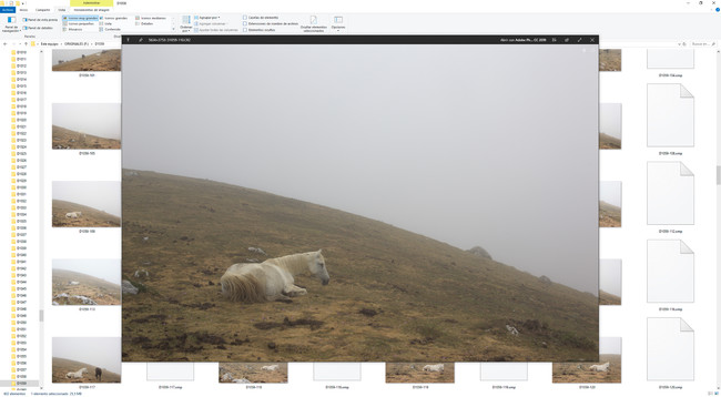 RAW Image, la extensión gratuita para ver nuestros RAW en Windows 10