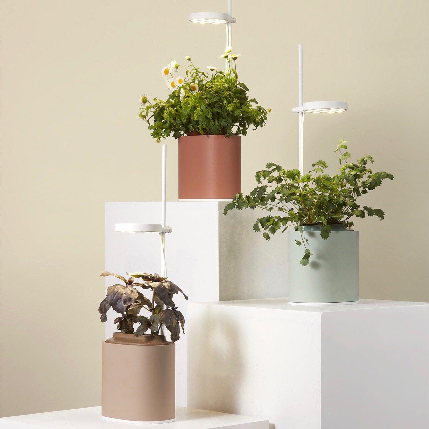 Estas macetas llevan su propia luz incorporada: es de tipo LED y se ...