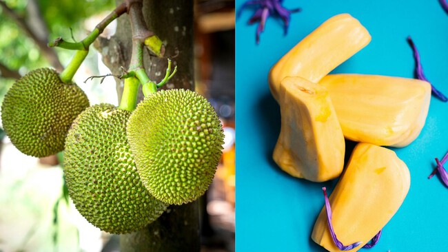 Yaca: la fruta tropical que sabe a muchas cosas y que los expertos no ...
