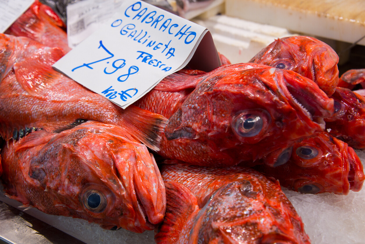 Cabracho, el delicioso pescado blanco más allá del pastel: qué es y ...