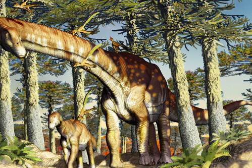 Cretácico - Xataka Ciencia