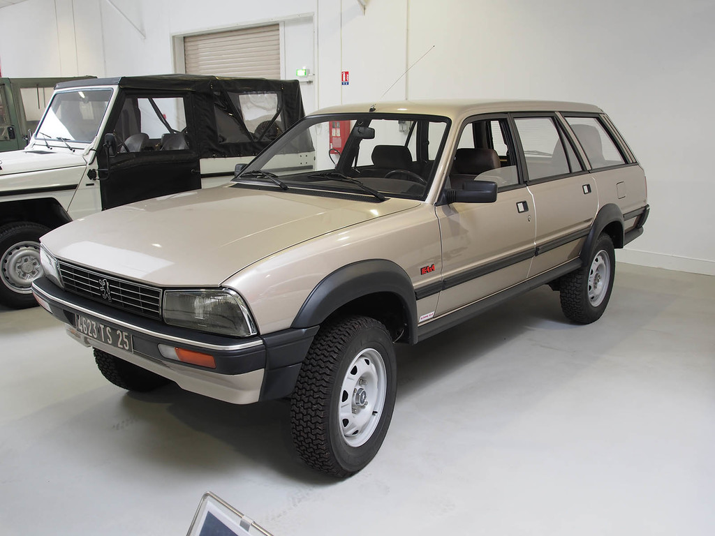 Peugeot 504 break 4x4, 205 GTi16 4x4 y otros Dangel que quizá no conocías