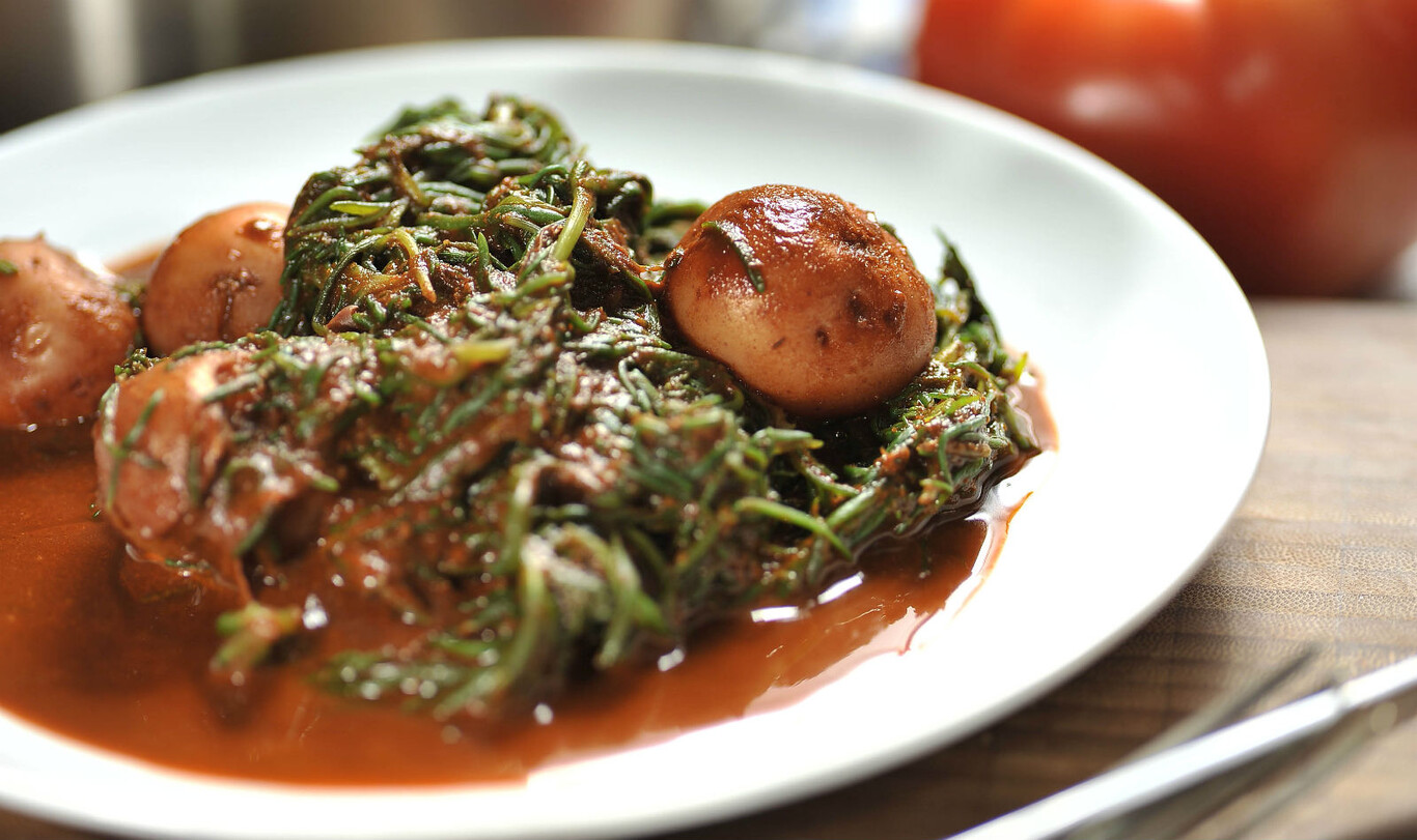 Cómo hacer la mejor receta de romeritos: con mole y tortitas de camarón ...