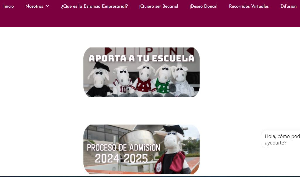 Convocatoria IPN 2024: fecha de registro, requisitos y examen de ...