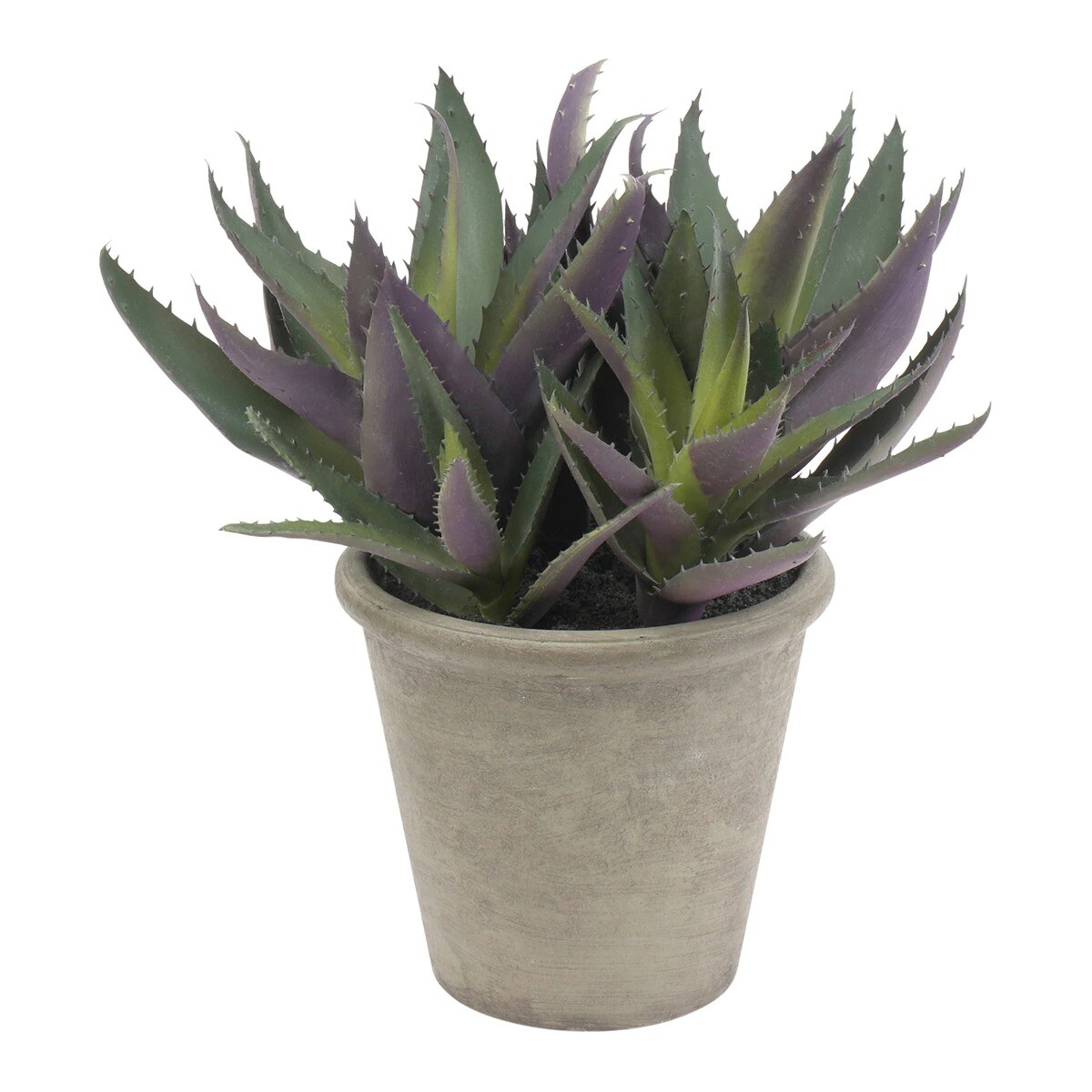 Cuatro tiendas online donde comprar plantas artificiales decorativas ...