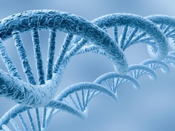 Después del genoma humano llega el metagenoma: la estructura microbiana ...