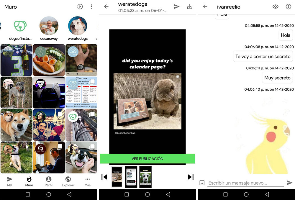 Barinsta es un clon de Instagram extraoficial, de código abierto y que ...