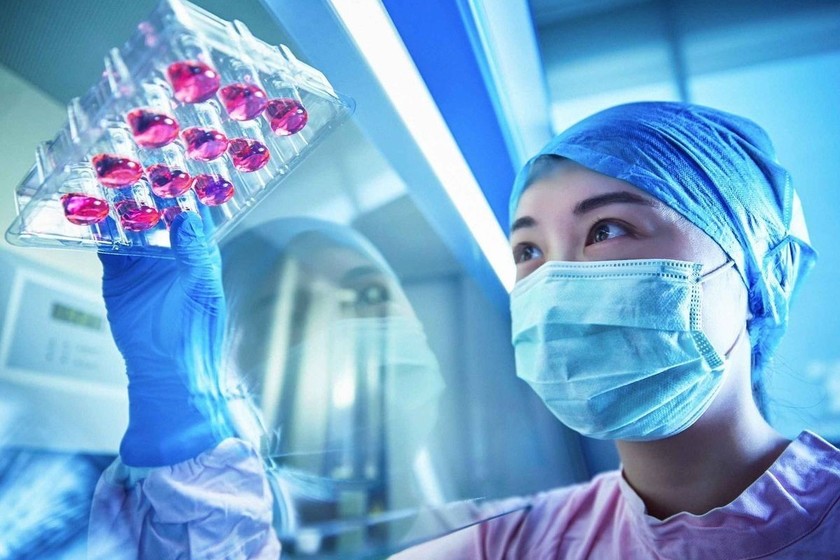 Episkin es la piel sintética ideada por L'Oréal para eliminar el test ...