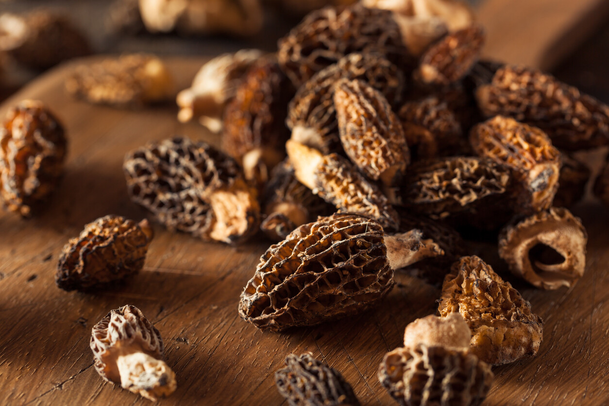 Colmenillas, la exquisita seta de primavera: características ...