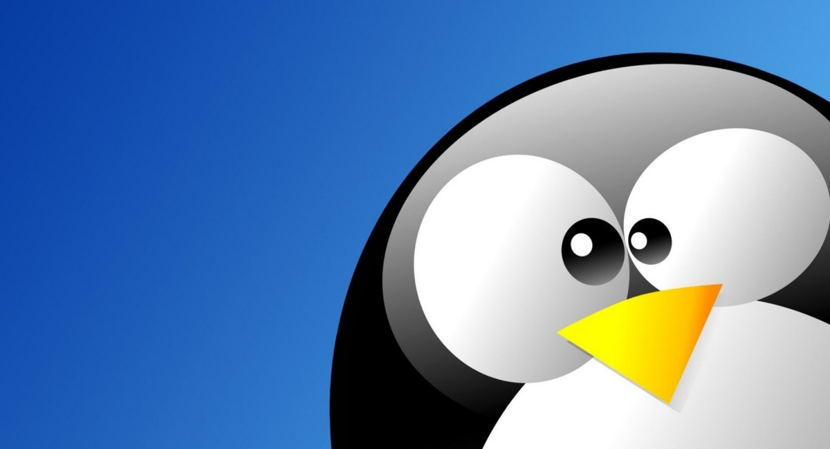 Cuál Es La Diferencia Entre Linux Y Gnulinux 9898