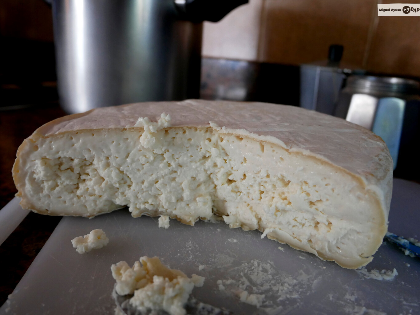 Los últimos guardianes del queso de flor: el gran tesoro gastronómico ...