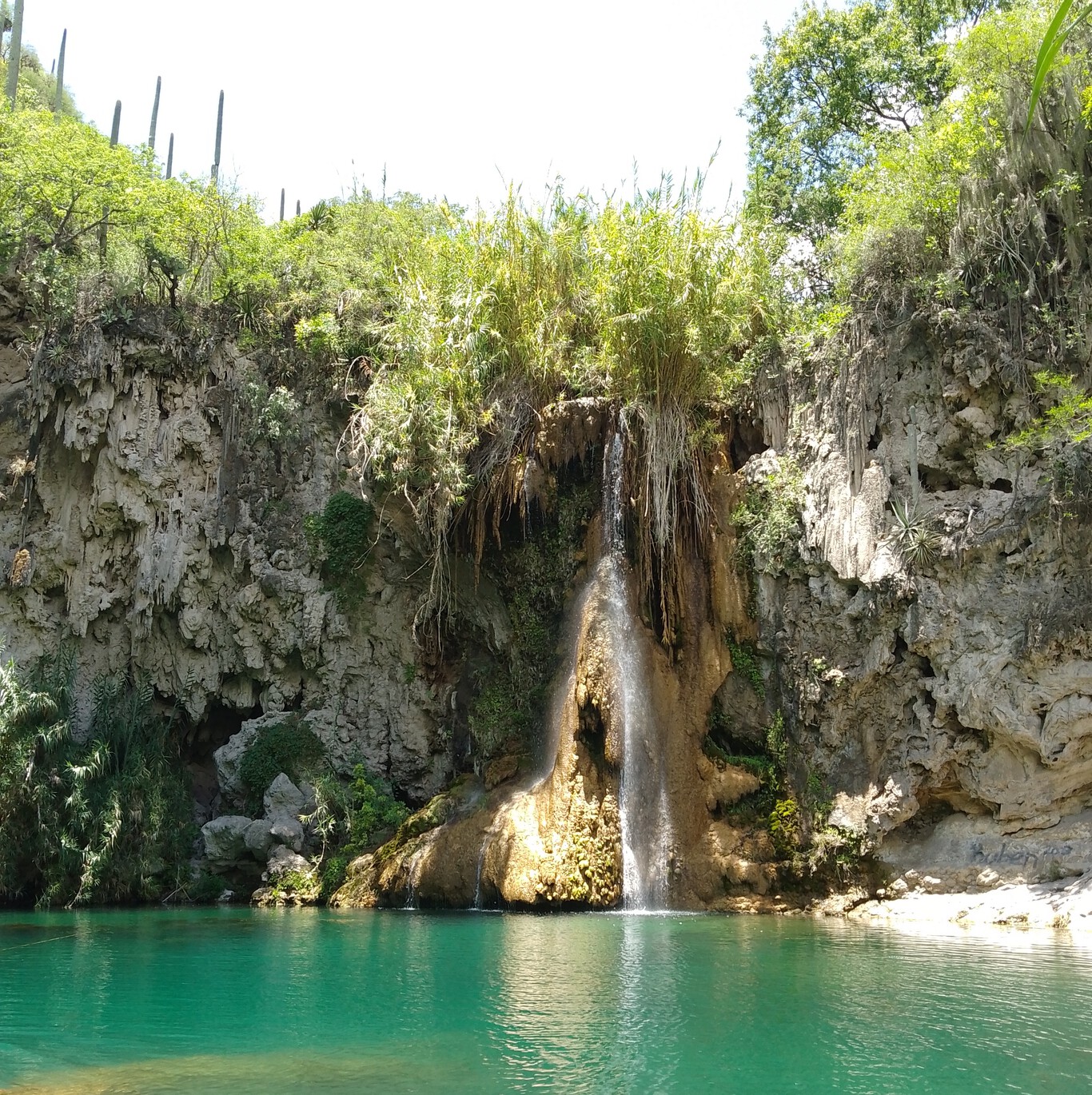 Esta cascada en la Sierra Mixteca Poblana es un refugio de paz para ...