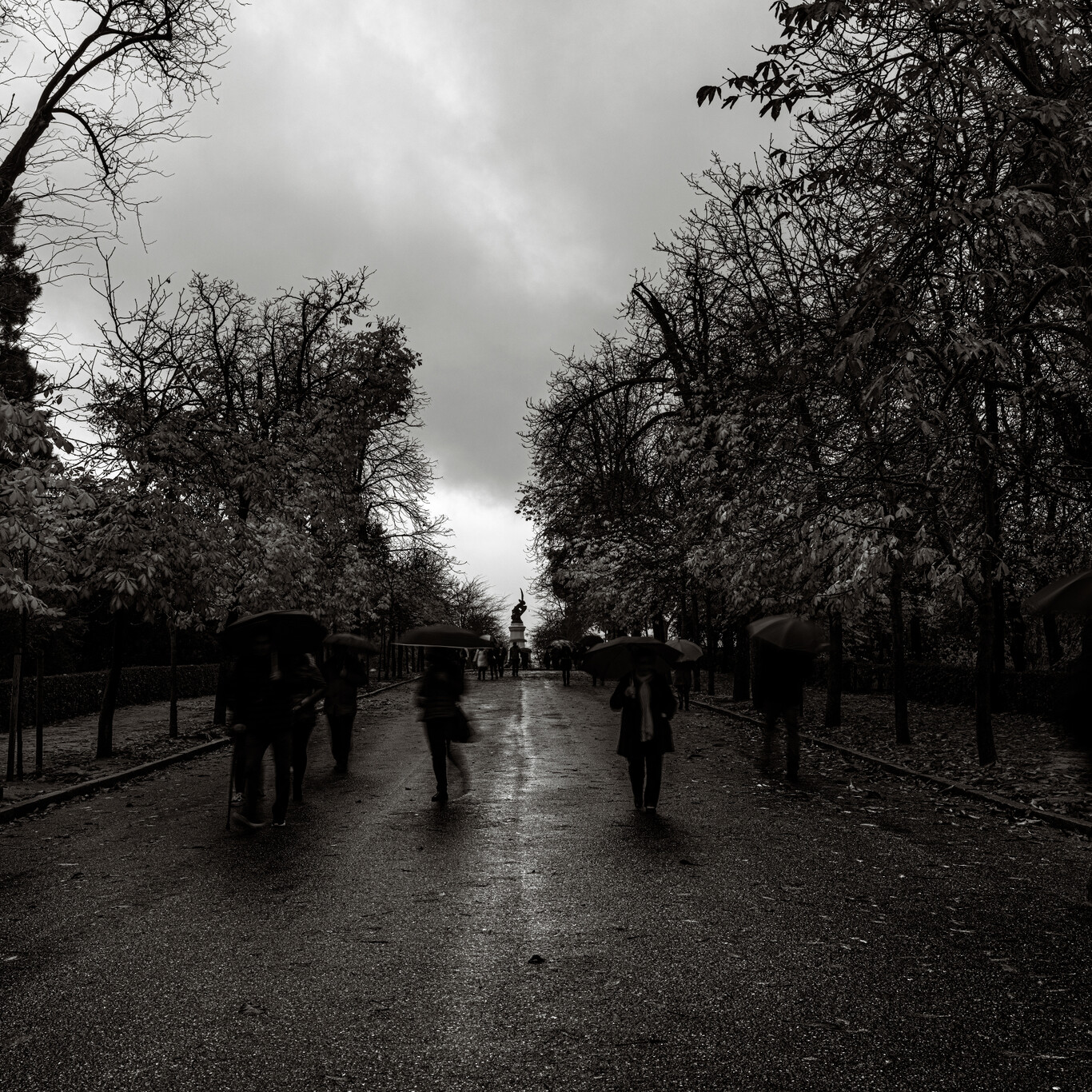 Cómo conseguir una fotografía fine art en blanco y negro