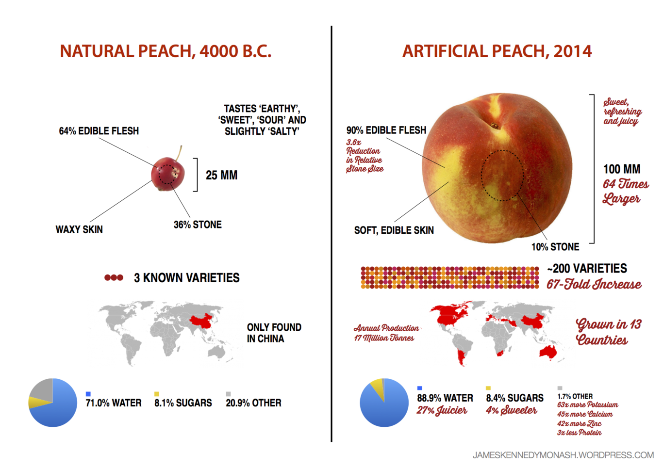 Cómo hemos cambiado: un viaje visual por la evolución de las frutas que ...