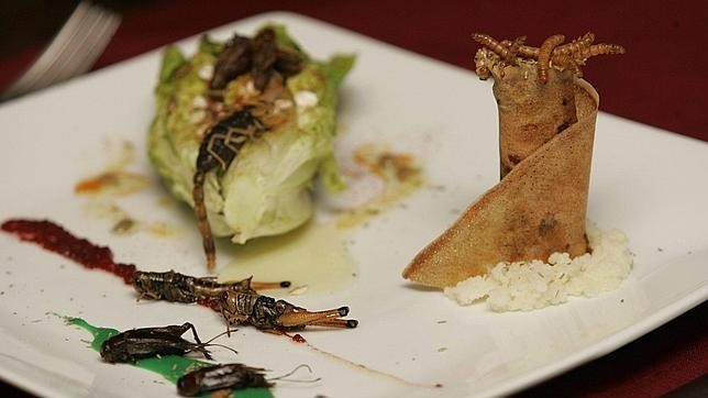 Un puñado de motivos para pasarte a la dieta de los insectos