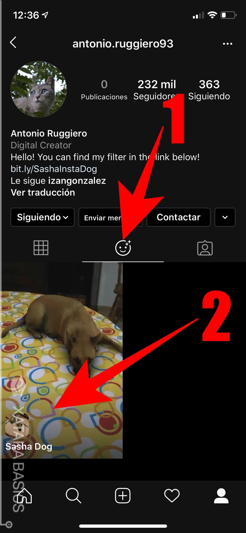 Cómo descargar Sasha Dog, el "filtro del perro" viral de Instagram que ...