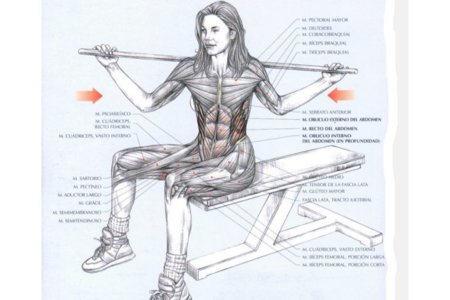 Guía de ejercicios abdominales (XXII): Rotaciones de tronco con bastón ...