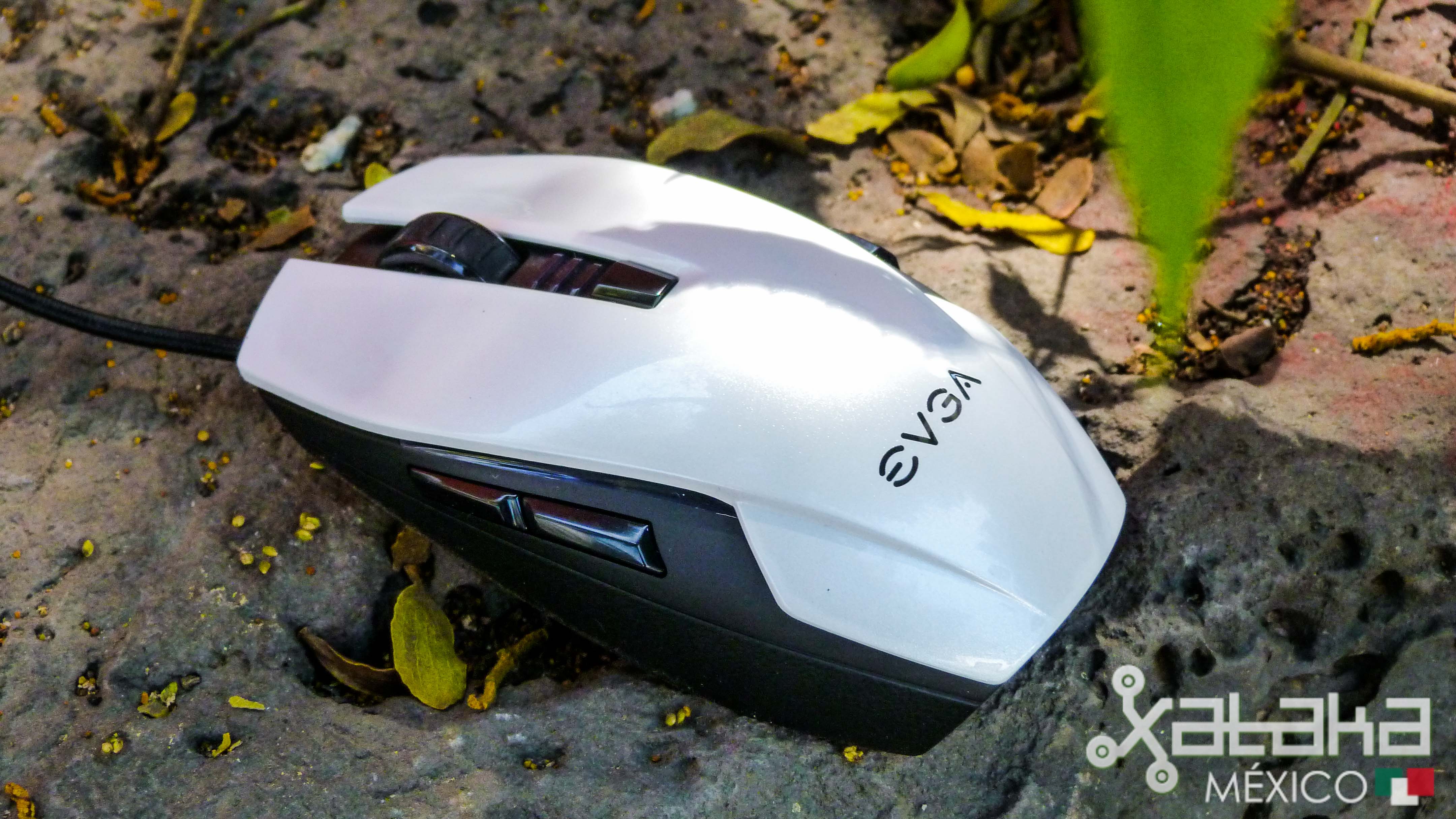 EVGA TorQ X5, análisis
