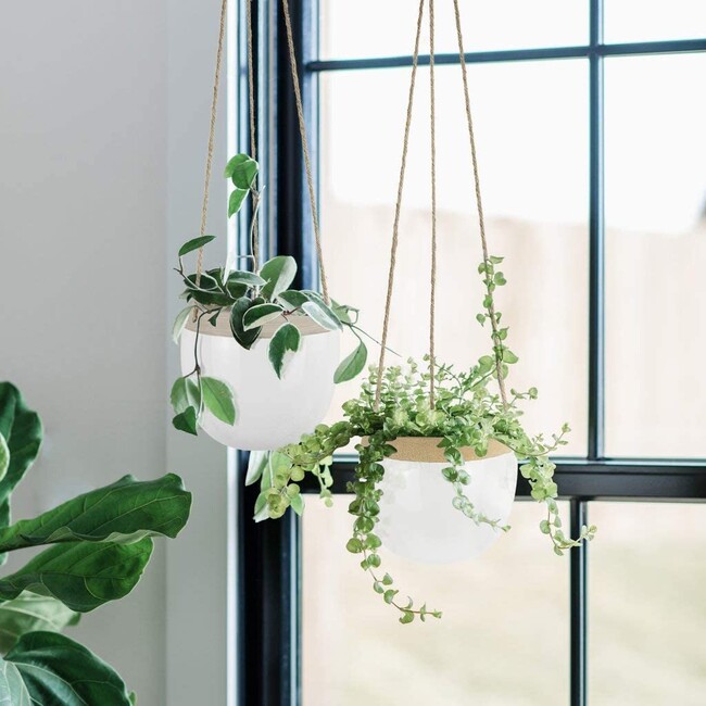 Las macetas colgantes están de moda: 11 propuestas para decorar una ...